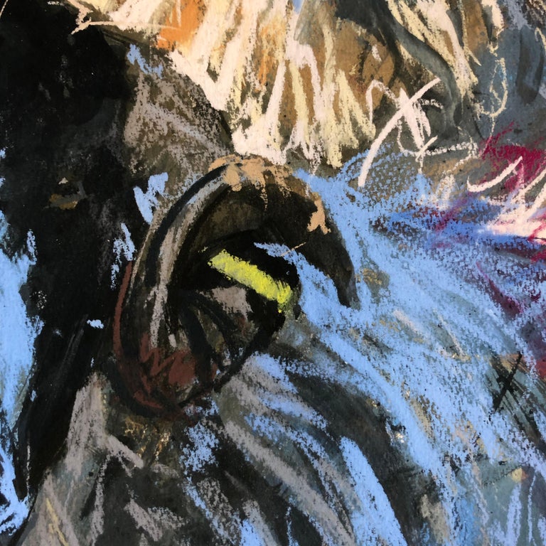 James Bartholomew - James Bartholomew, Rough Fell Tups, Limited Edition ...