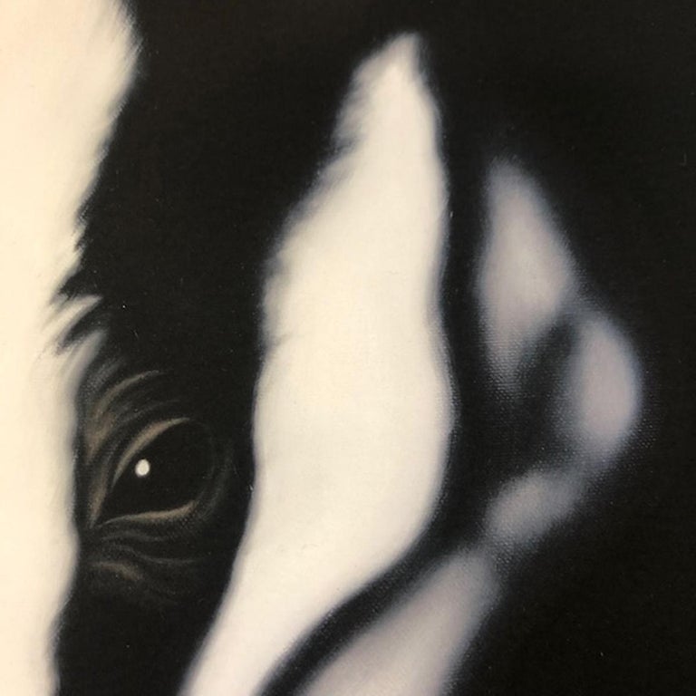 Steve Shaw - I'm Watching You, Steve Shaw, Badger Art, Animal Prints ...