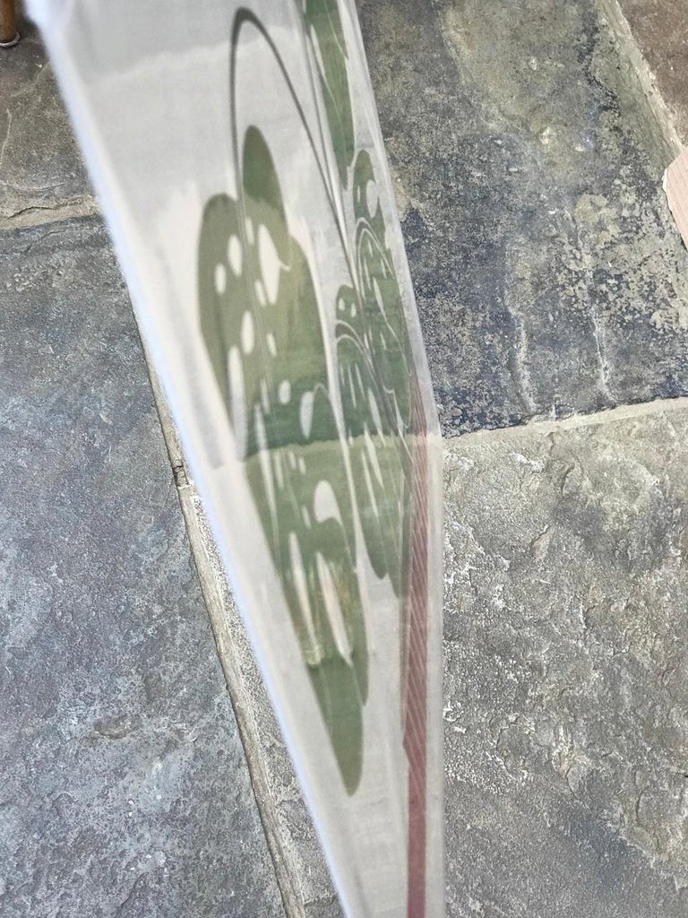 Kerry Day - Kerry Day, Swiss Cheese Plant, Limited Edition Print ...