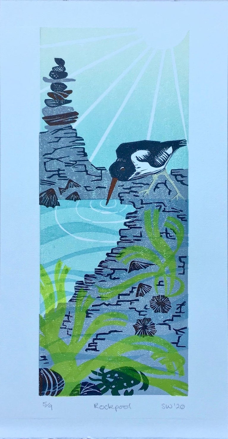 Sarah Weston - Sarah Weston, Rockpool, Limited Edition Print, Animal ...