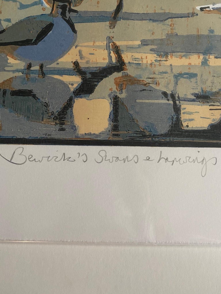 Robert Greenhalf - Robert Greenhalf, Berwick’s Swans and Lapwings ...