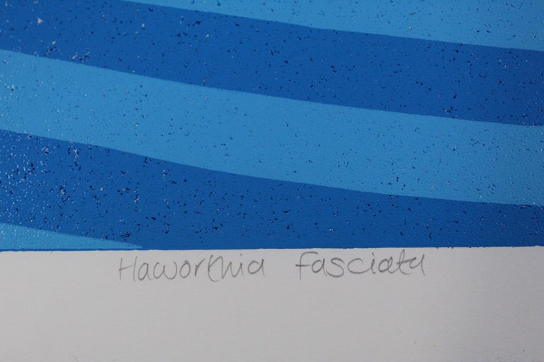 Kerry Day - Kerry Day, Hawthoria Fasciata, Contemporary Still Life Art ...