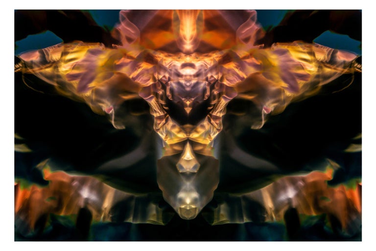 Robin Thurel - Entity 01 For Sale at 1stDibs