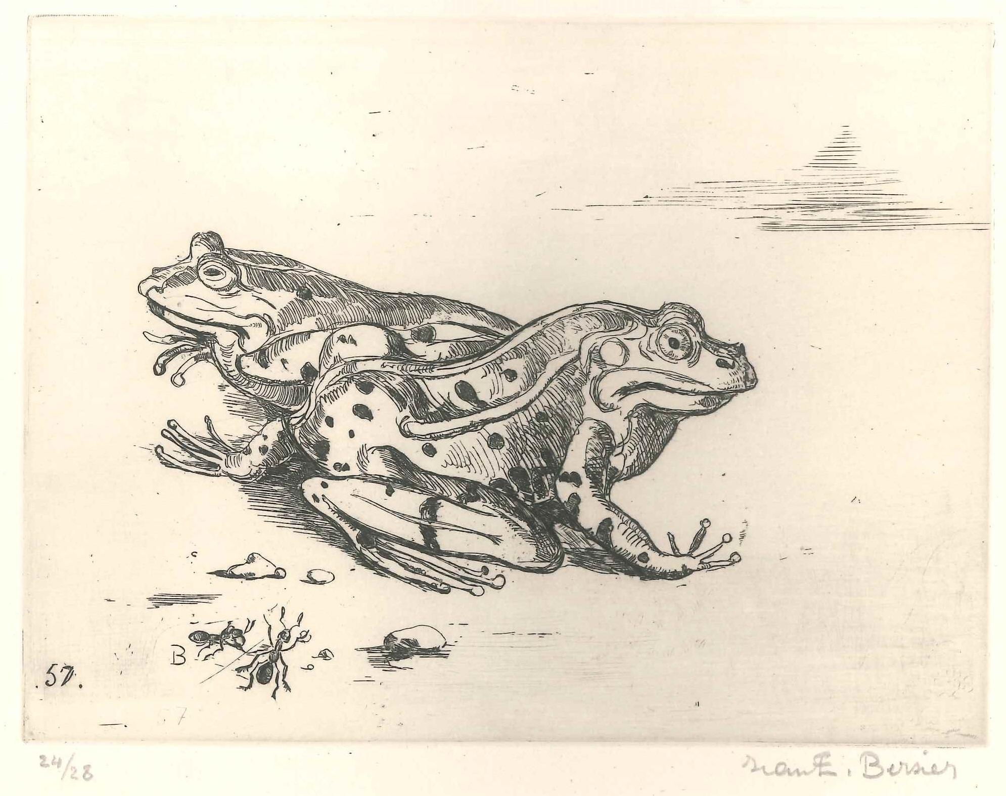 Jean Bersier - Frogs - Original Etching by Jean Bersier - 1957 For Sale ...