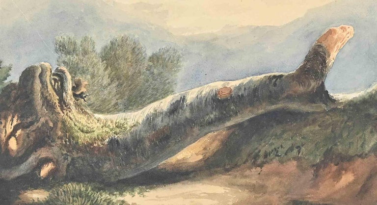 Unknown - Fallen Tree - Original Drawing in Ink and Watercolor - Mid ...