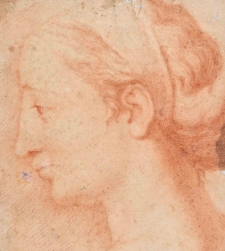 Unknown - Woman Portrait - Original Sanguine Drawing - 19th Century at ...