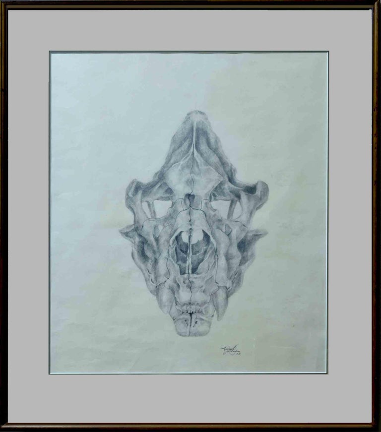 Michael Burgess - Anatomical Study - Drawing by Michael Burgess - 1978 ...