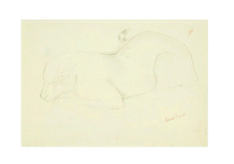 Ernest Rouart - Feline Sleeping - Original Pencil Drawing by Ernest ...