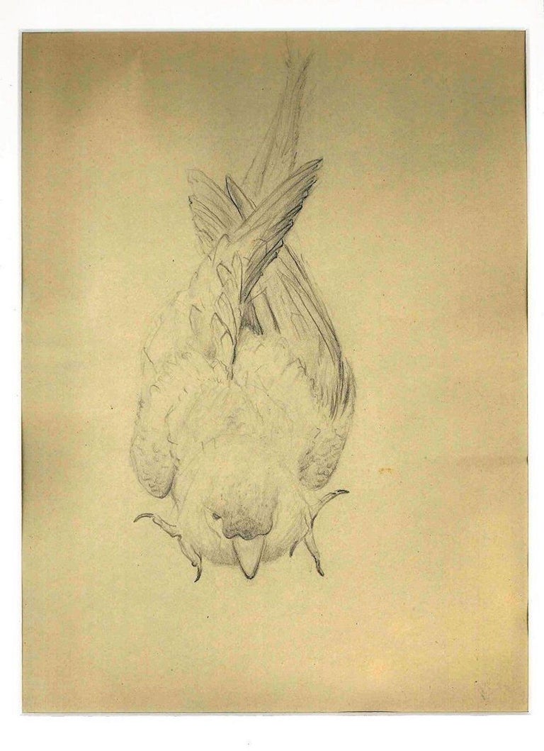 Ernest Rouart - The Sparrow - Original Pencil Drawing by Ernest Rouart ...
