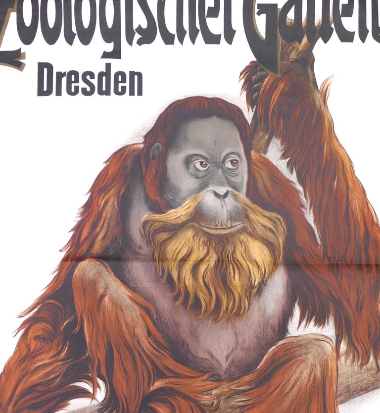 Etha Richter - Dresden Zoological Garden - Offset Print After Etha Richter - 1960s For Sale at ...