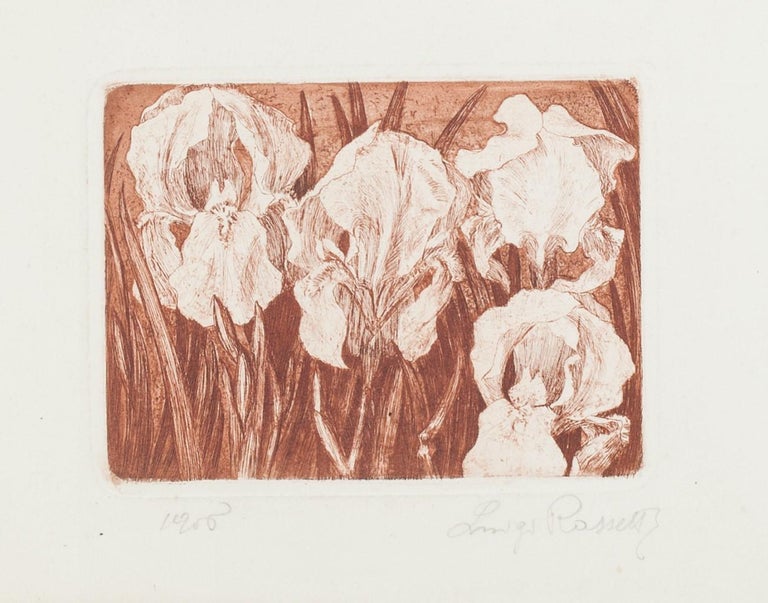 Luigi Rossetti - Gladiolus - Etching by Luigi Rossetti - 1975 For Sale at 1stDibs