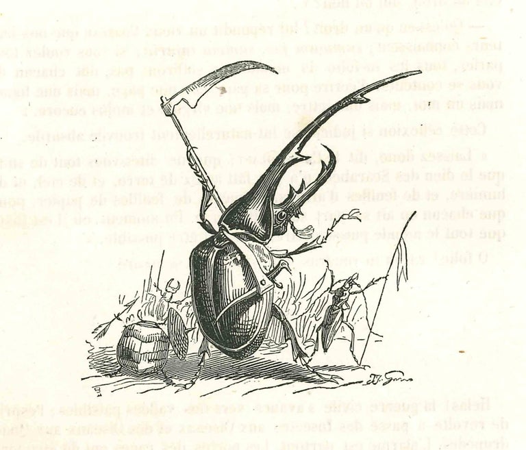 Jean Jeacques Grandville - The Insects Revolt - Original Lithograph by ...