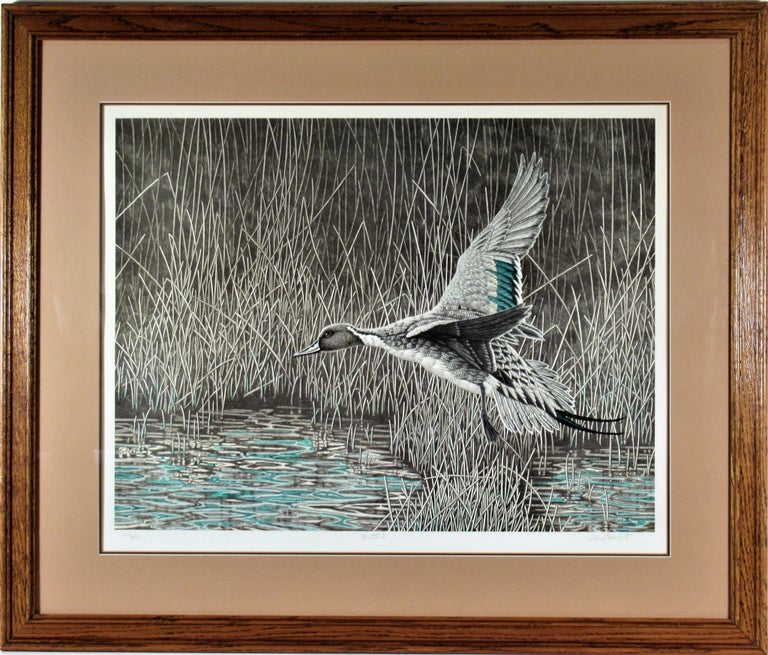 Christopher Forrest - Pintail For Sale at 1stDibs | christopher forrest ...