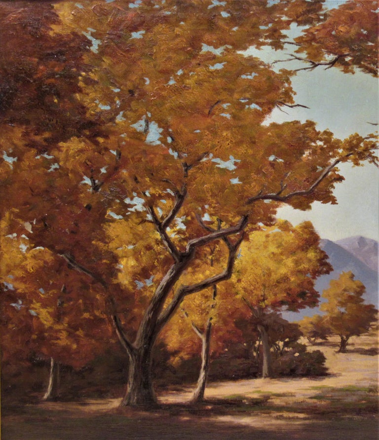 Earl Graham Douglas - California Landscape Trees at 1stDibs