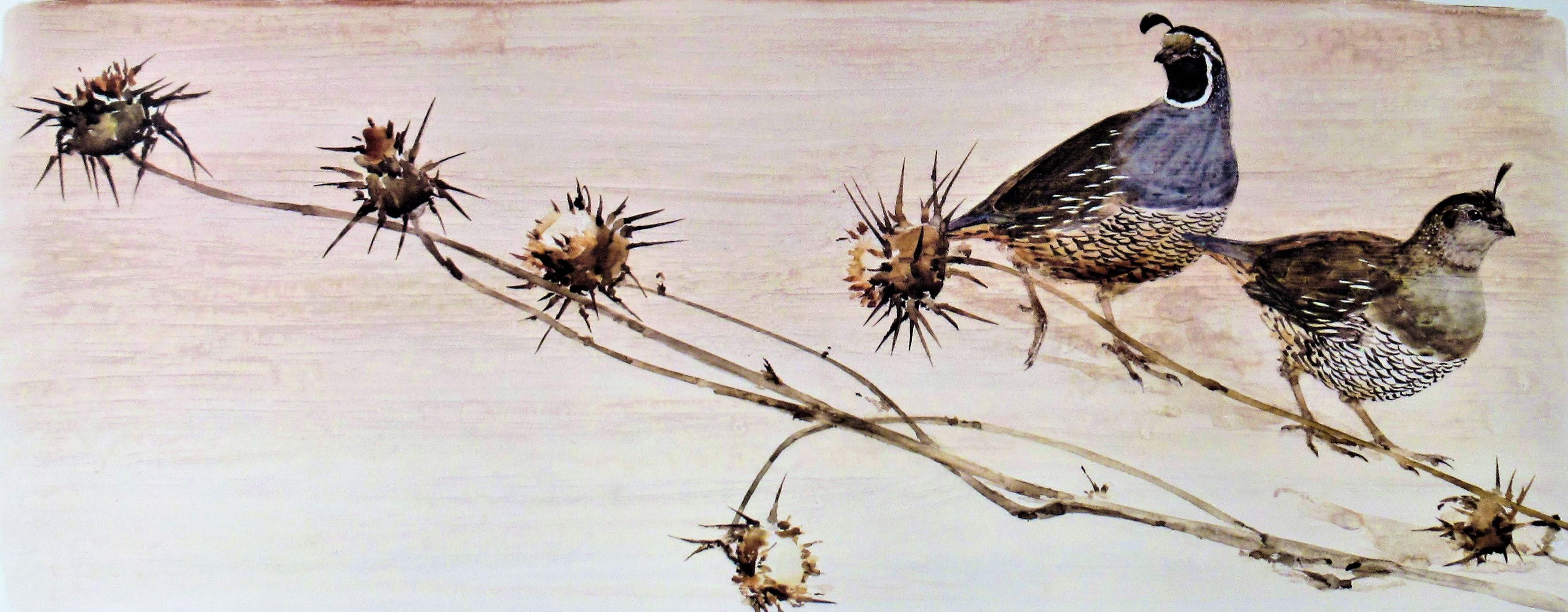 Thomas Quinn - Valley Quail and Bullthistle at 1stDibs | quinn and ...