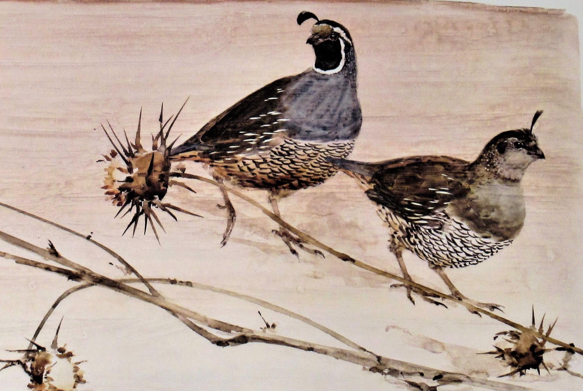 Thomas Quinn - Valley Quail and Bullthistle at 1stDibs | quinn and ...