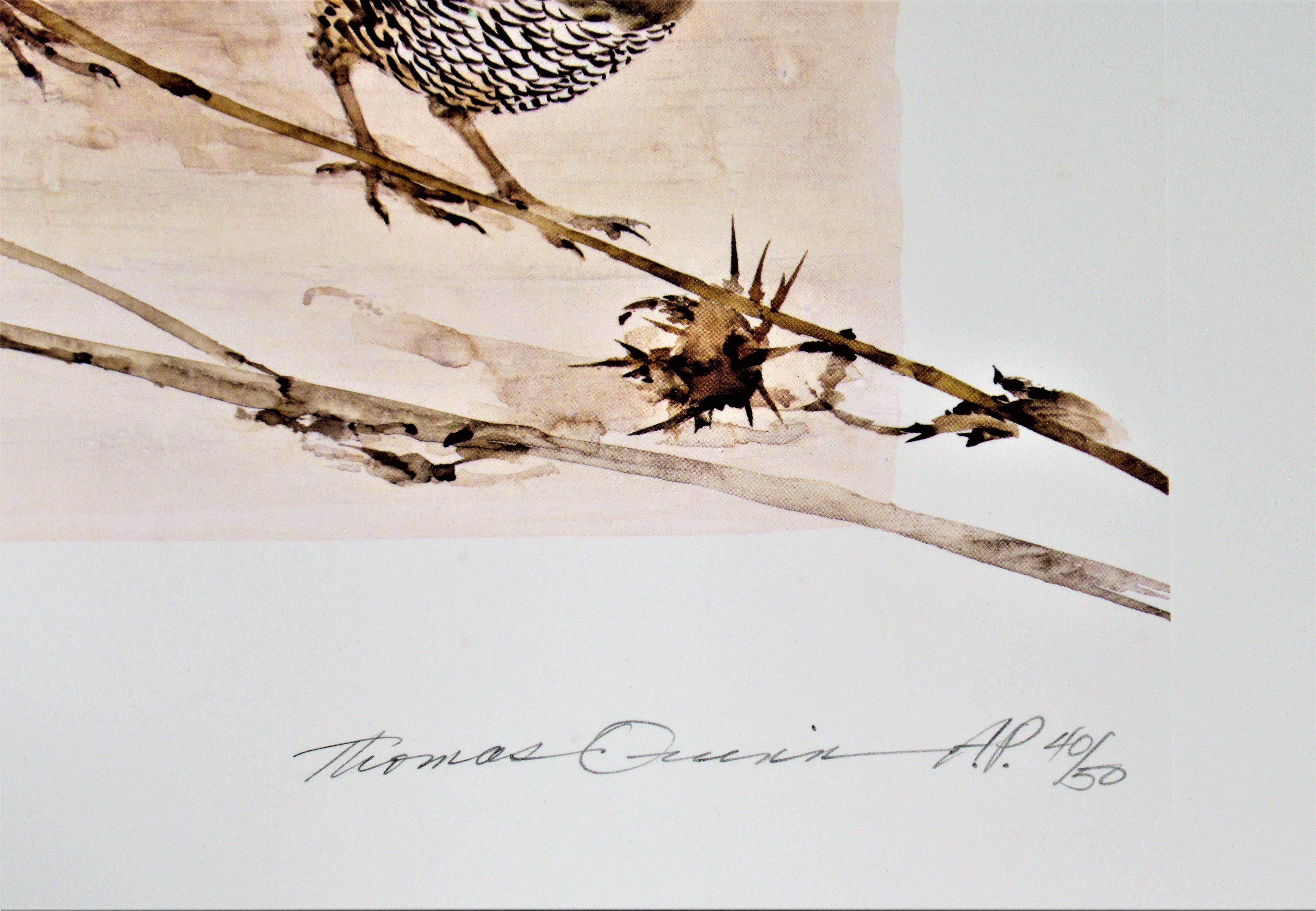 Thomas Quinn - Valley Quail and Bullthistle at 1stDibs | quinn and ...