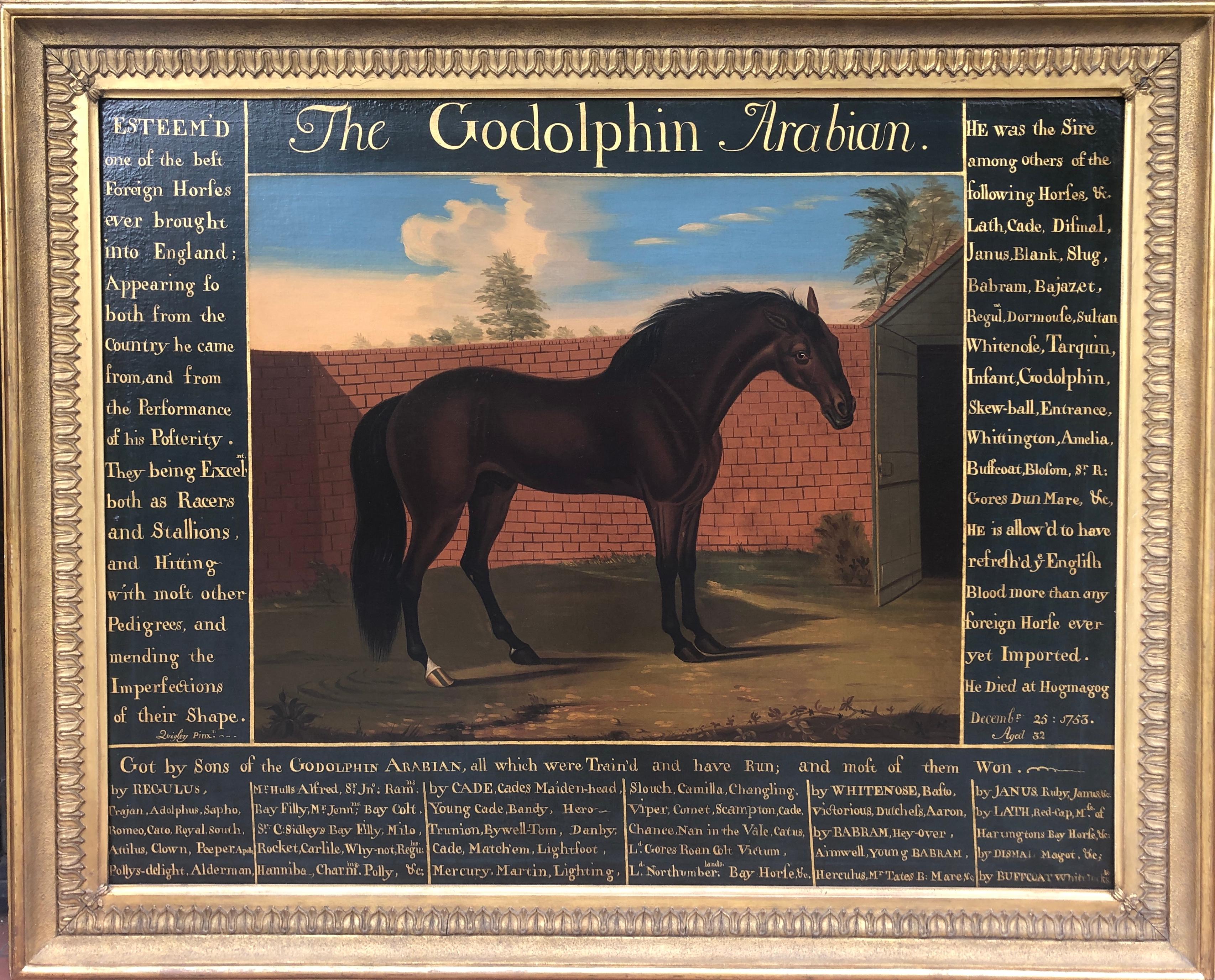 Daniel Quigley - The Godolphin Arabian an 18th Century Masterpiece For ...