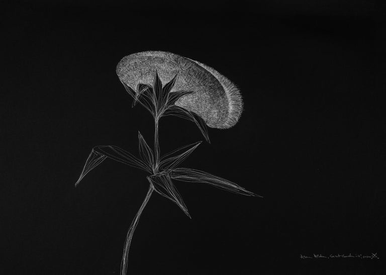 Alina Aldea - Secret Garden 14 - Flower, Contemporary Art, White, Black ...