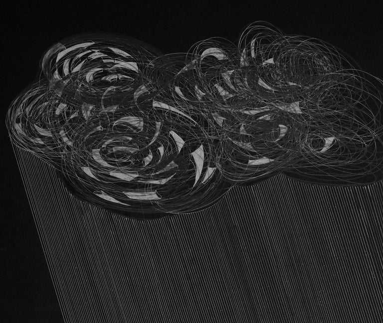 Alina Aldea - G_15 - Contemporary, Black, White, Abstract, Drawing ...