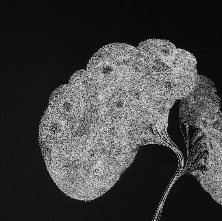 Alina Aldea - Secret Garden 13 - Contemporary Art, Flower, Black, White ...