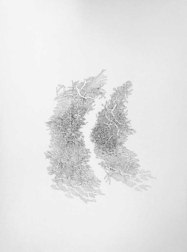 Kathleen Vance - River Path at 1stDibs