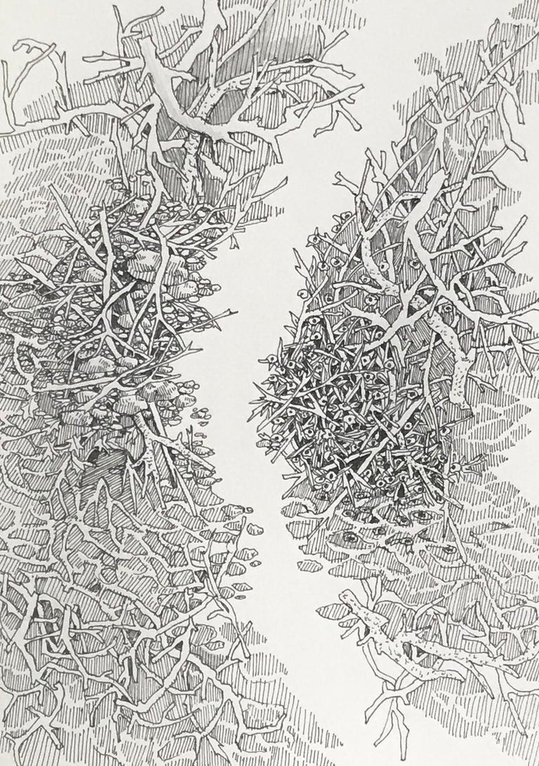 Kathleen Vance - River Path at 1stDibs