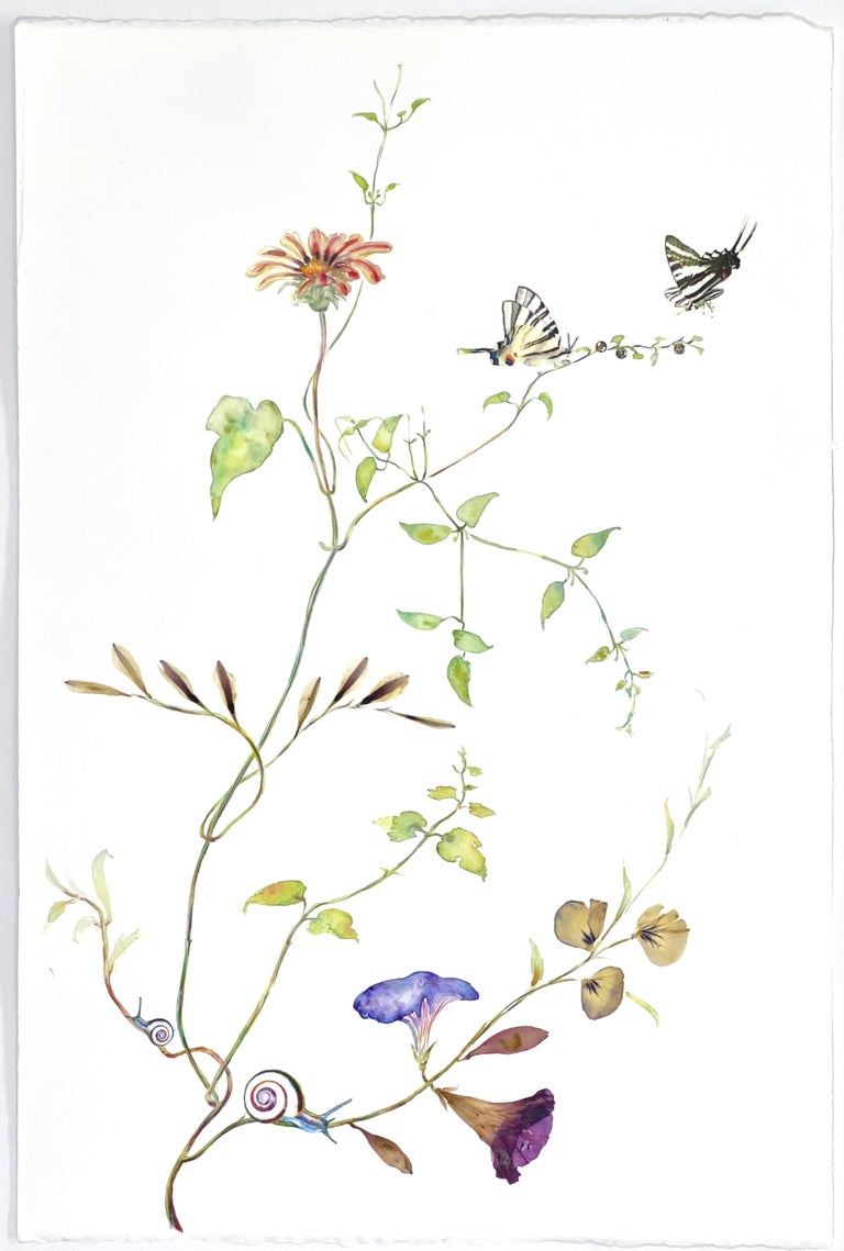 Marilla Palmer - Marilla Palmer "Morning Glories and Zebras ...