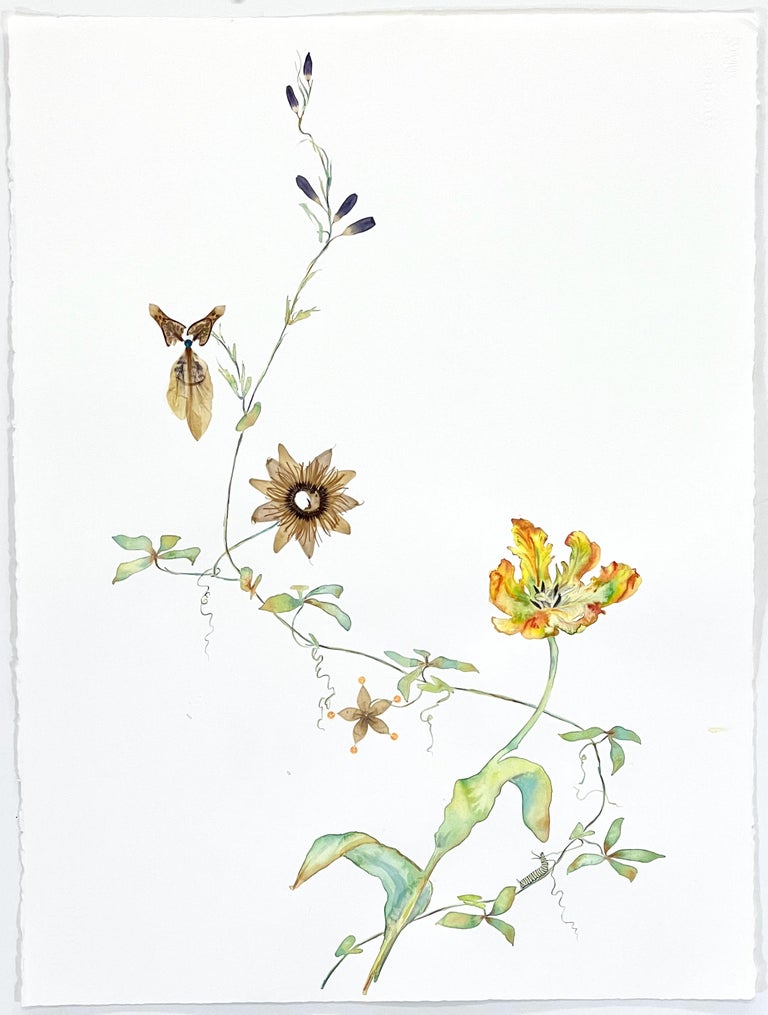 Marilla Palmer - Marilla Palmer "Passion Vine and Parrot" Pressed ...