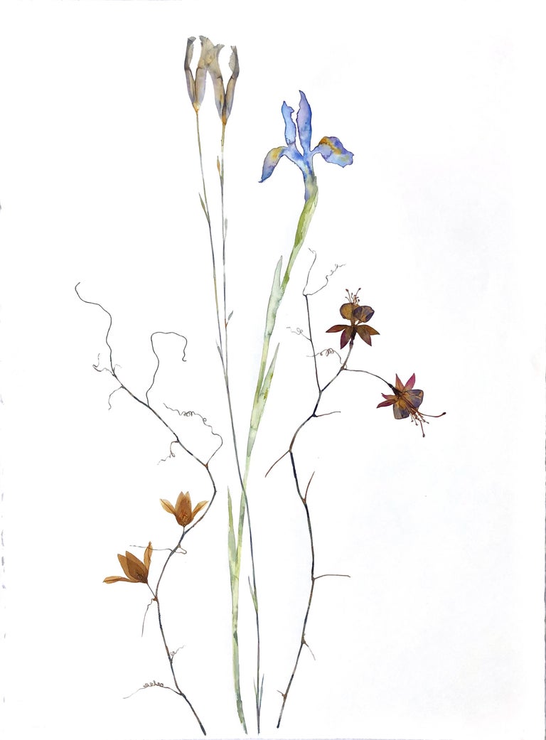 Marilla Palmer - Marilla Palmer "The True Iris" -- Mixed Media Collage ...