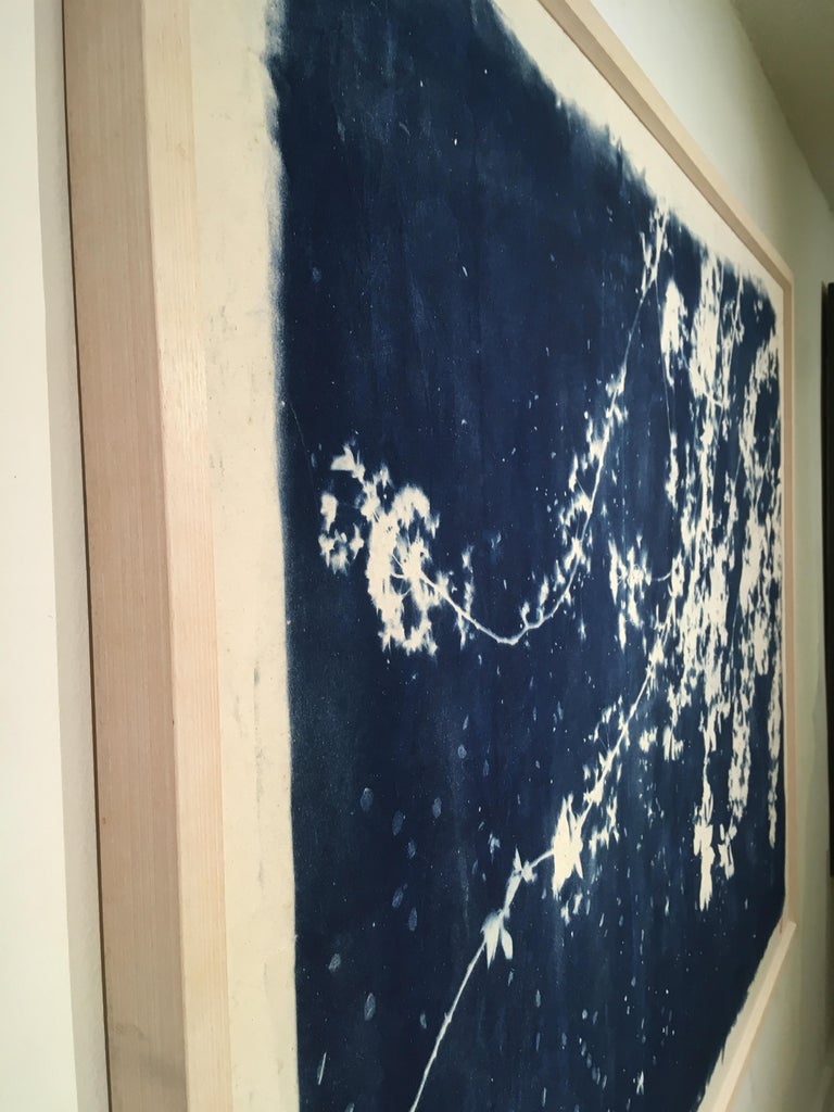Andrea Zvadova - Climb High - contemporary dark blue white cyanotype photography floral textile ...