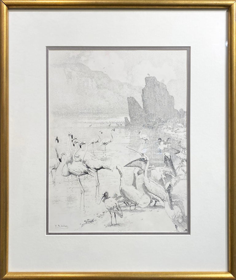 William R. Leigh - Flamingos For Sale at 1stDibs