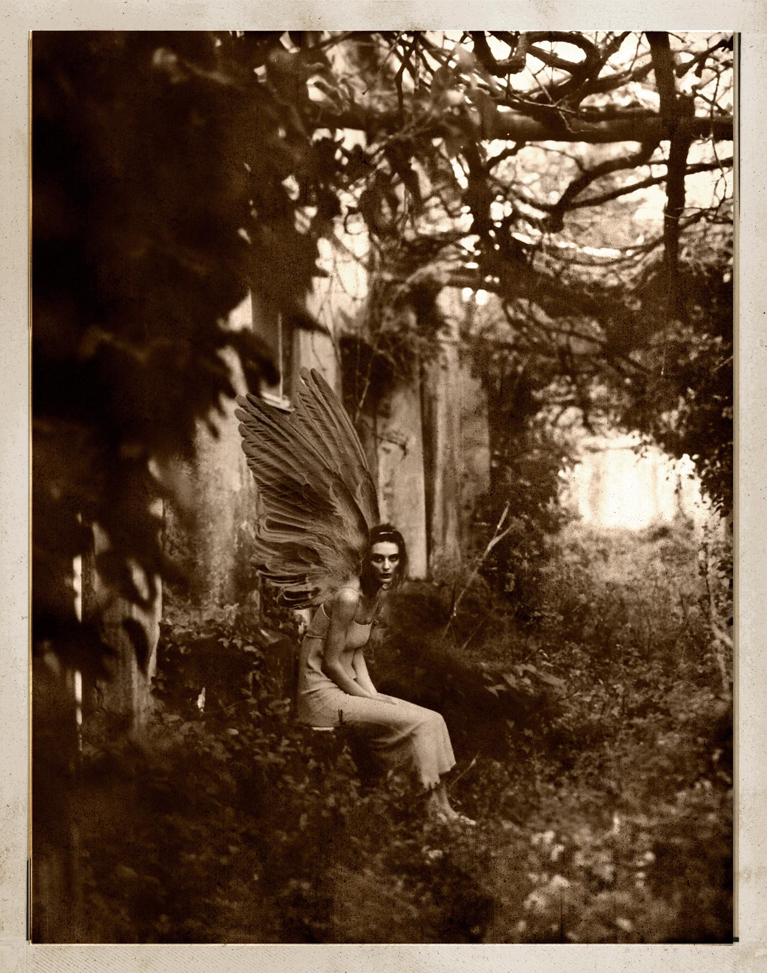 Giovanni Gastel Photography - 13 For Sale at 1stDibs | gastel fotografo ...