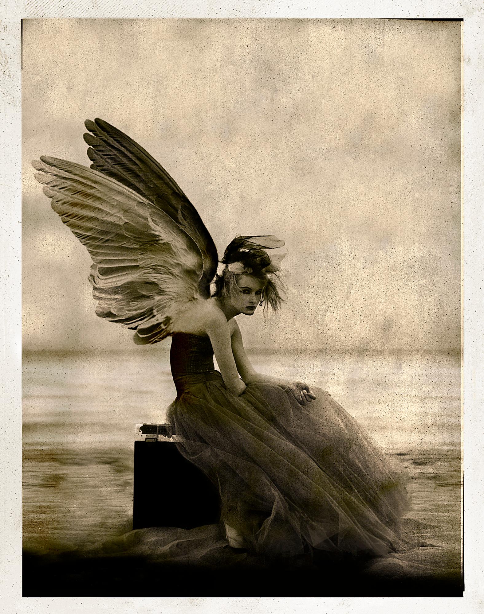 Giovanni Gastel Photography - 13 For Sale at 1stDibs | gastel fotografo ...