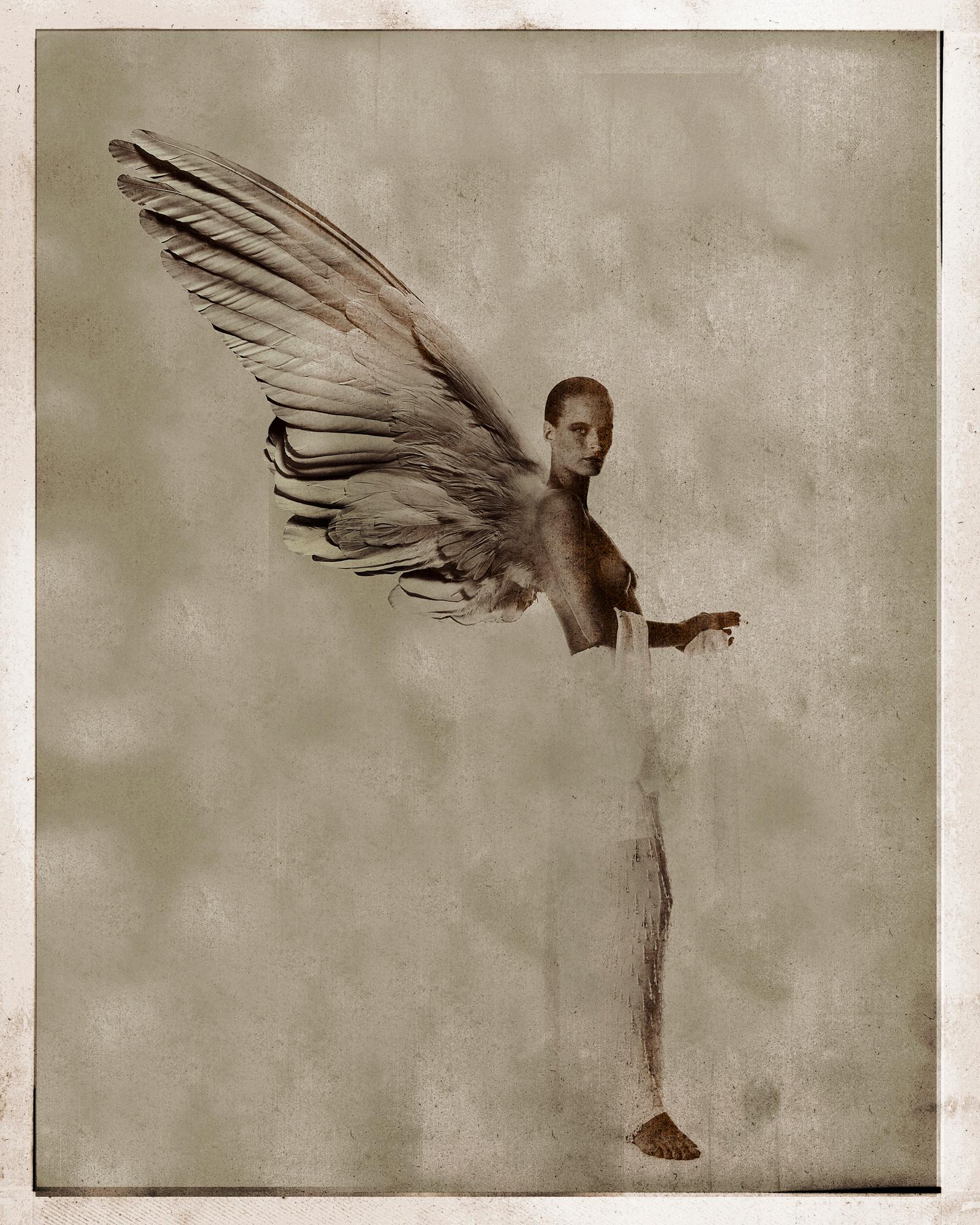 Giovanni Gastel Photography - 13 For Sale at 1stDibs | gastel fotografo ...