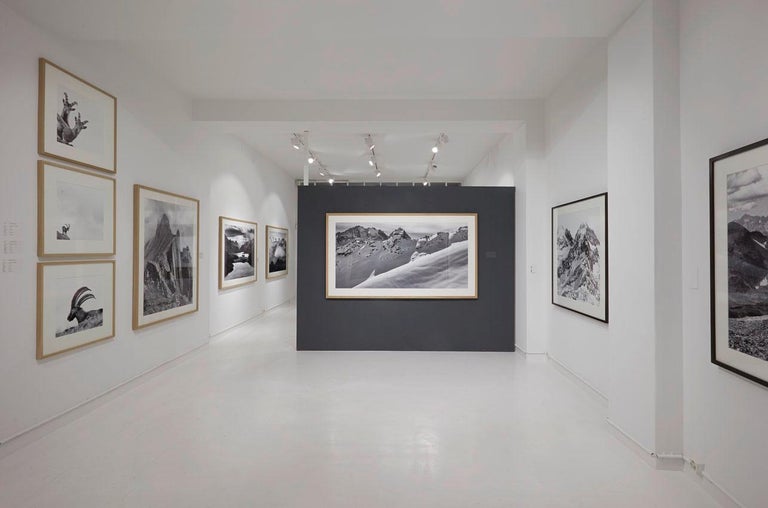 Peter Mathis - Moteratsch #3, Switzerland For Sale at 1stDibs