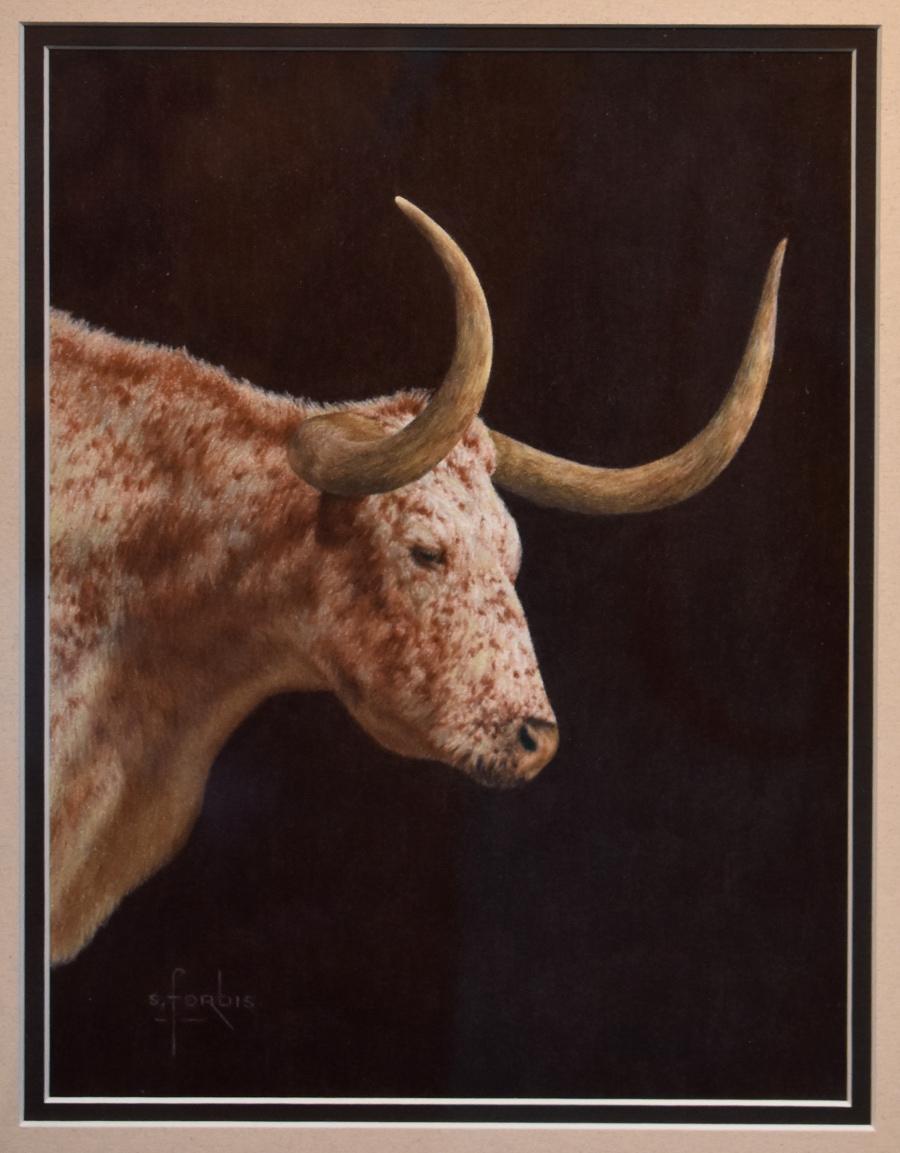 Steve Forbis - "Early Light" Longhorn Should Mount COLORED PENCIL ...