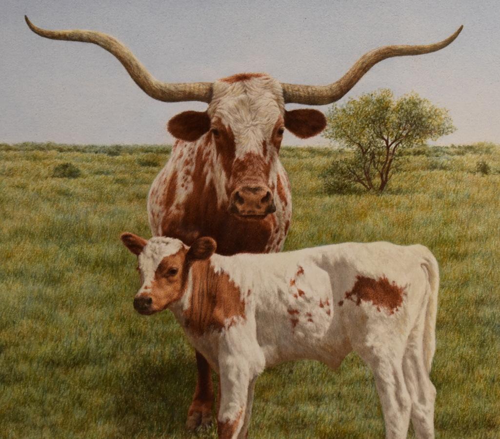 Steve Forbis - "Texas Longhorn" Fantastic Colored Pencil Drawing. For ...