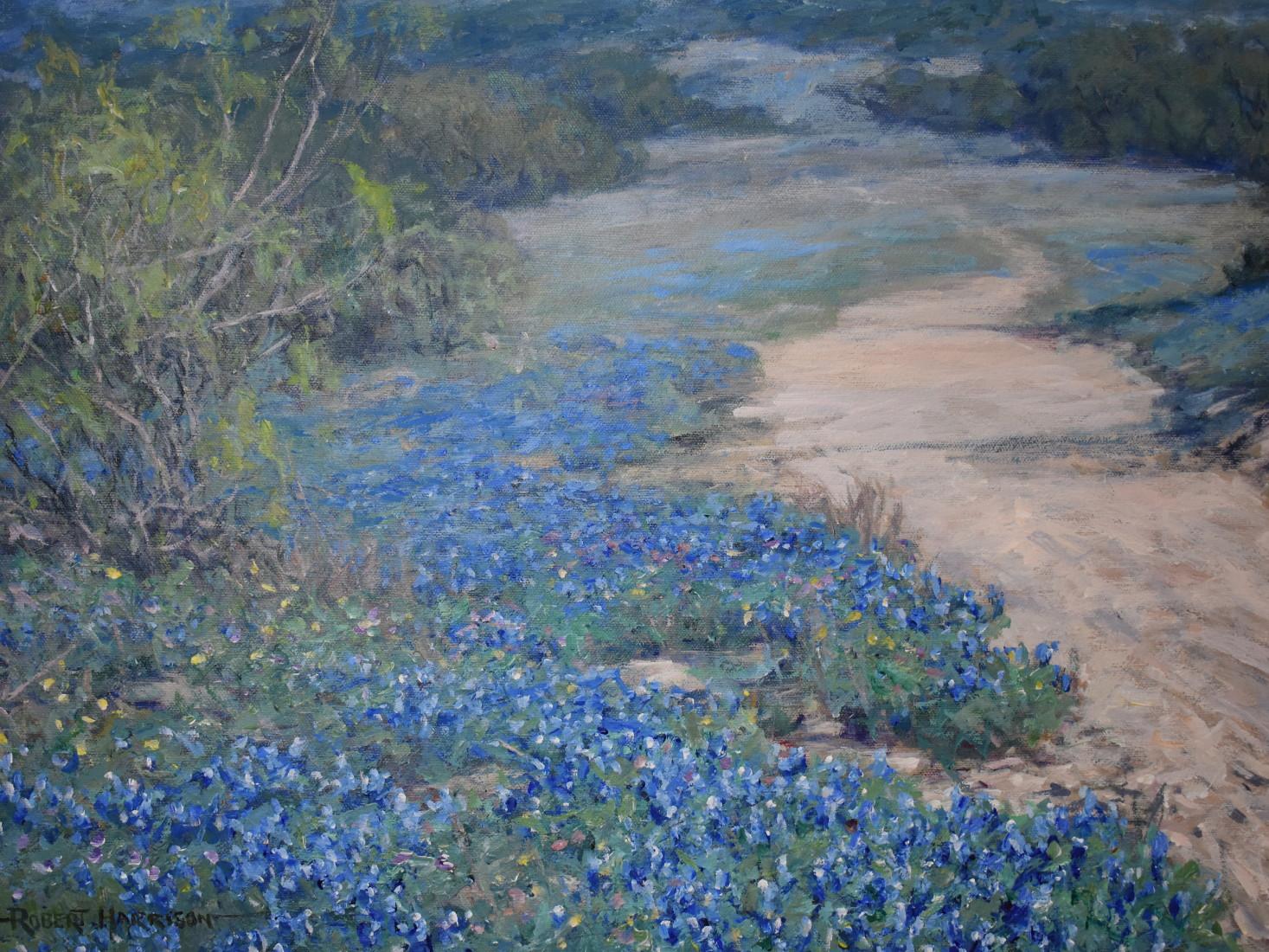 Robert Harrison - "A TEXAS TRAIL" Texas Hill Country. Texas Ranch ...
