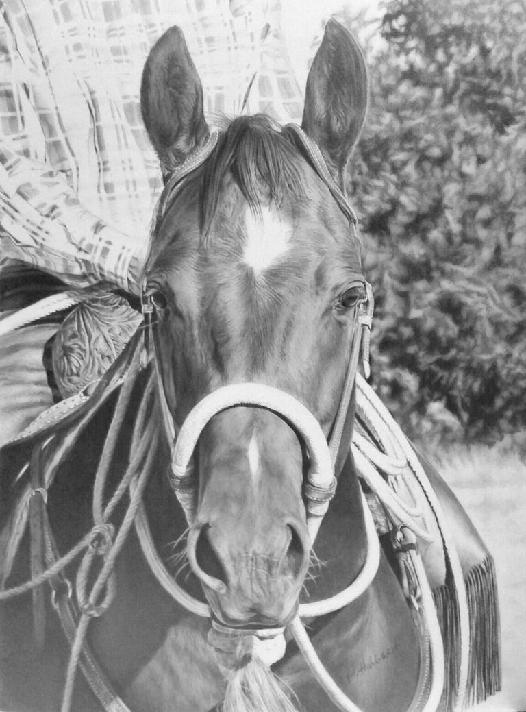 Halbert - "READY AND WILLING" 16 X 12 GRAPHITE DRAWING WESTERN HORSE ...