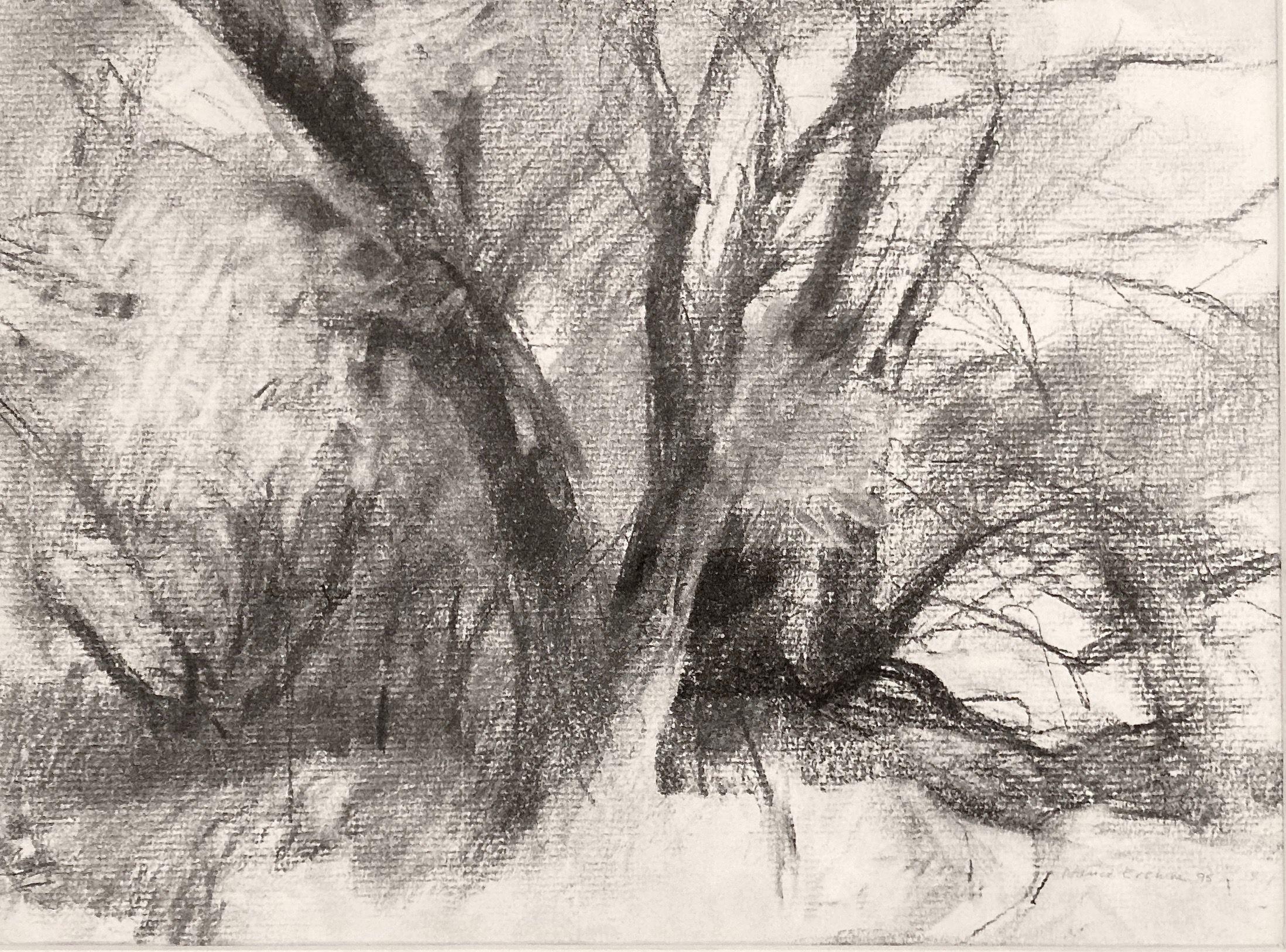 Nanci Erskine - Grove, Drawing, Charcoal on Paper For Sale at 1stDibs