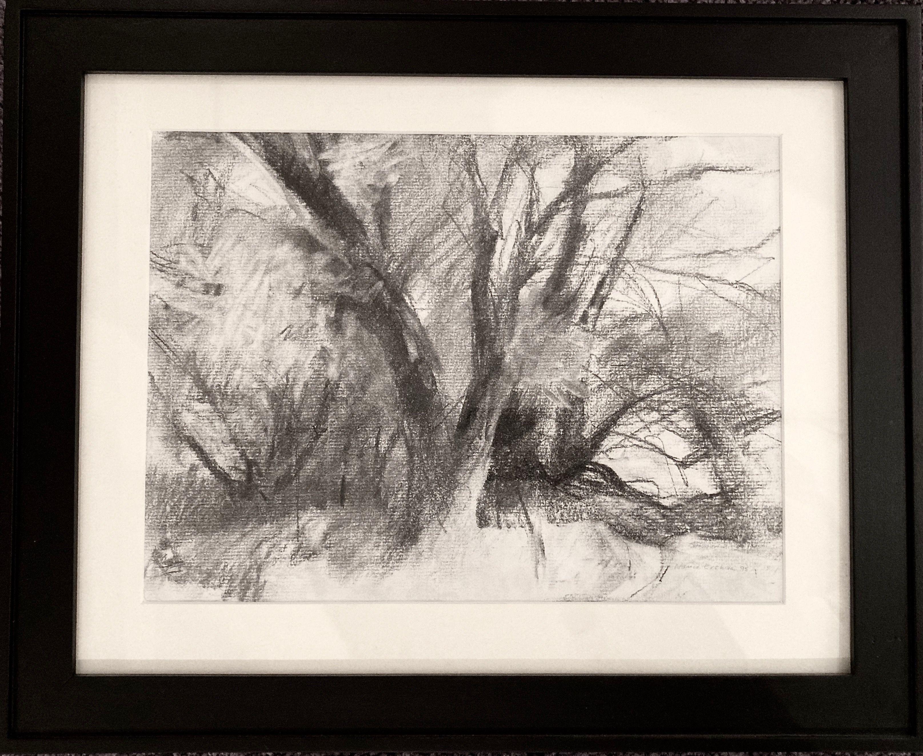 Nanci Erskine - Grove, Drawing, Charcoal on Paper For Sale at 1stDibs