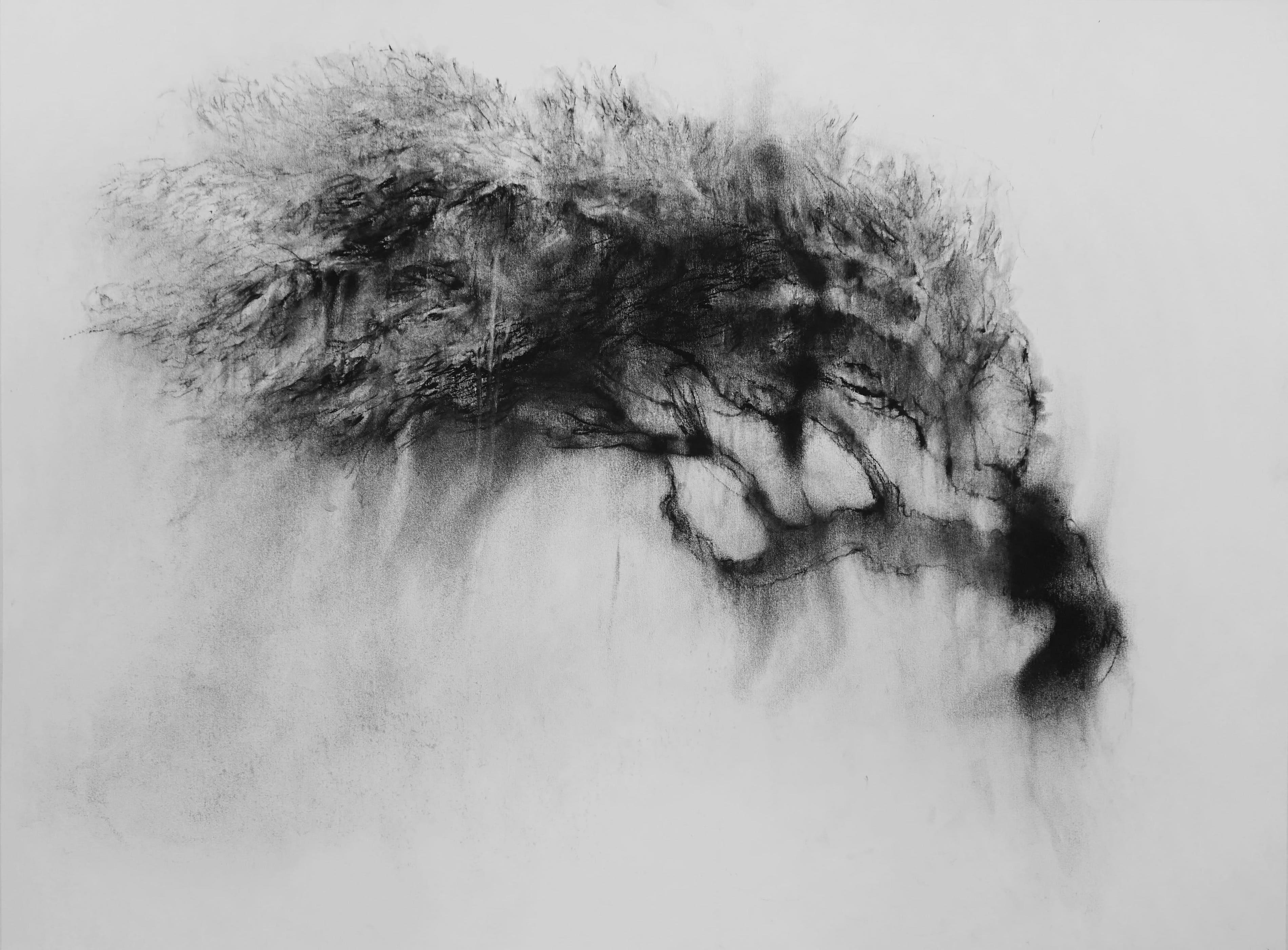 Guy Oberson - Árbol en el viento de Guy Oberson - Obra sobre papel ...