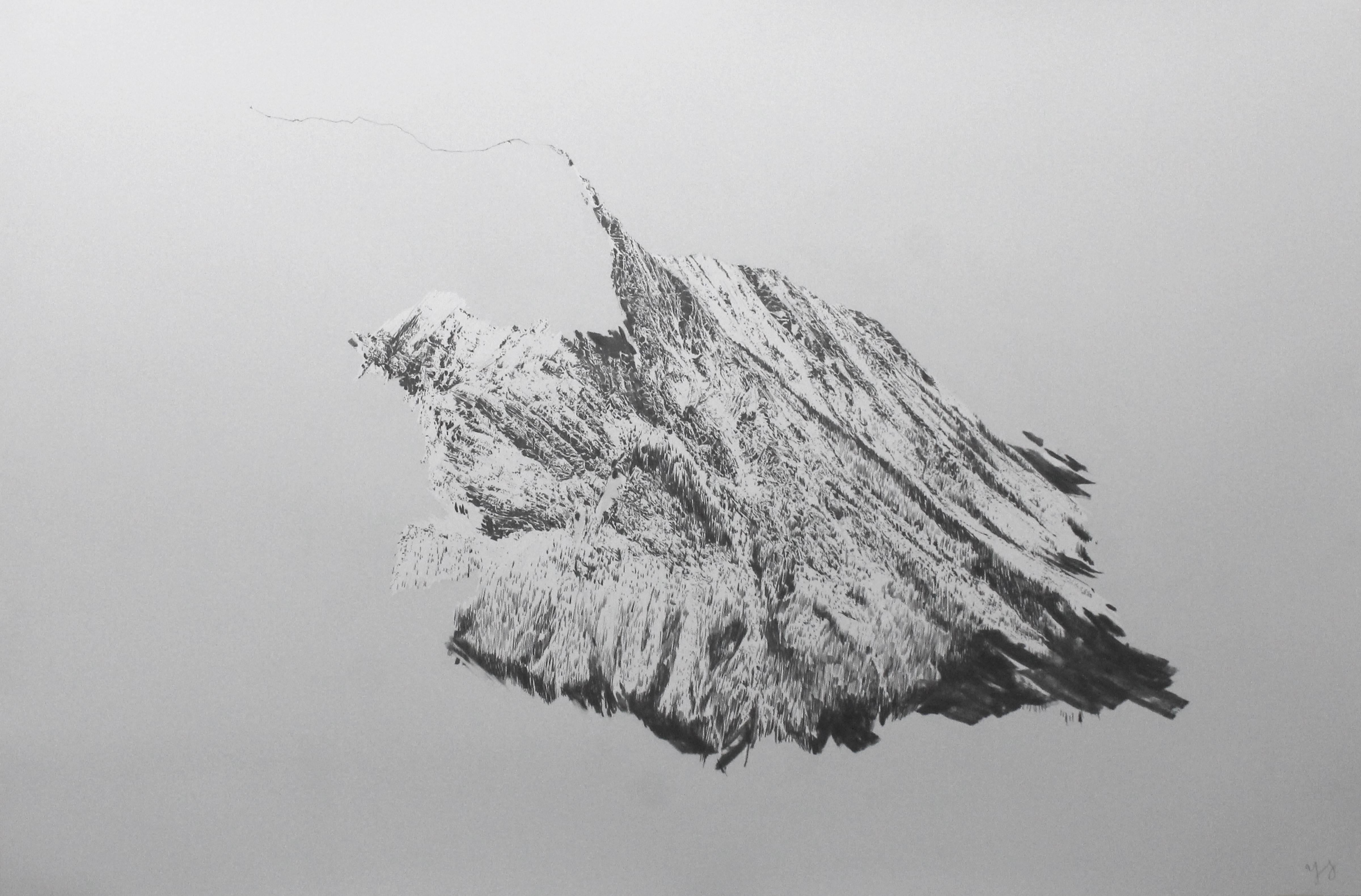 Charley Young - Treeline II, graphite and watercolour pencil drawing on ...