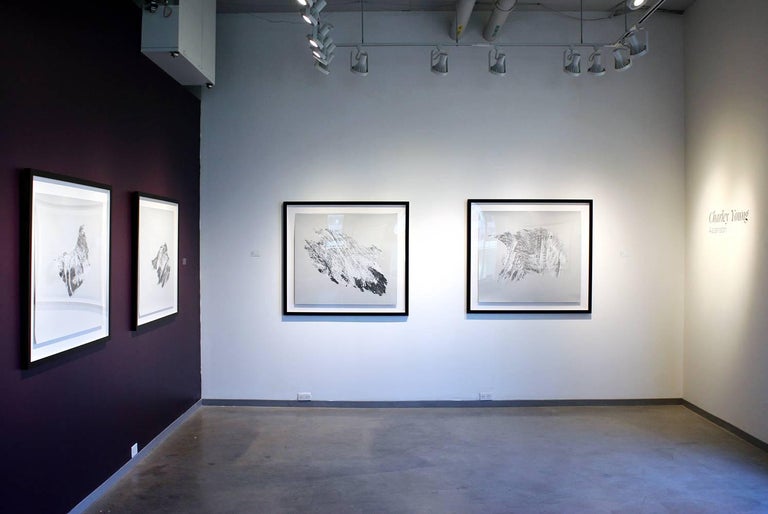 Charley Young - Striation III, graphite and watercolour pencil drawing ...