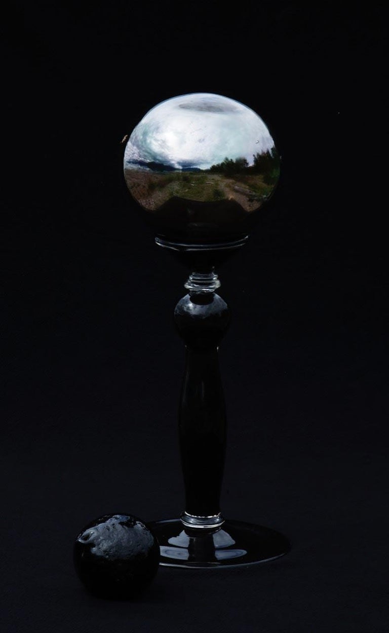 Beth Lipman - GAZING BALL WITH LEMON AND FLY For Sale at 1stDibs