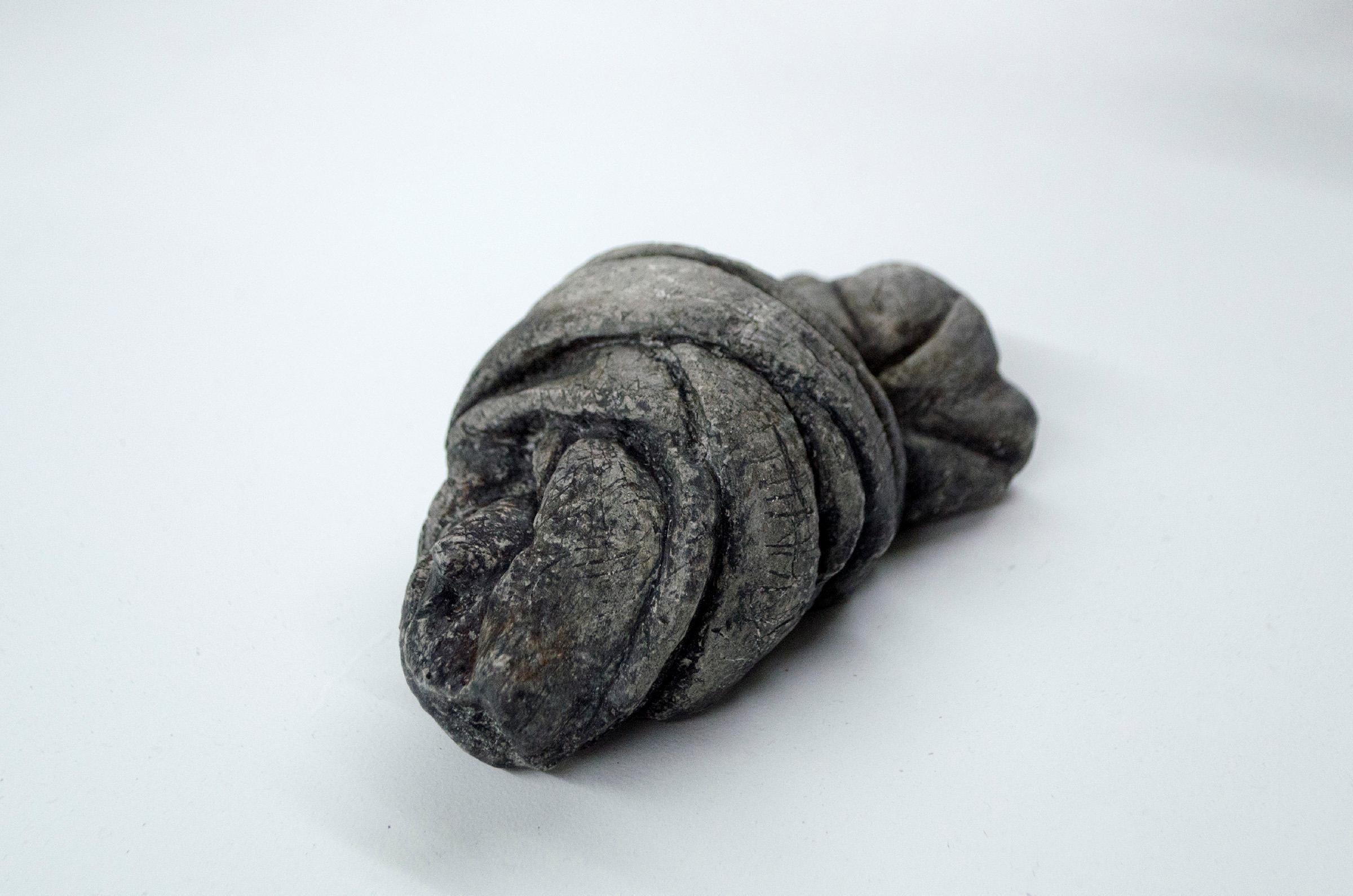 Dan Herschlein - Sock. Contemporary art, sculpture For Sale at 1stDibs