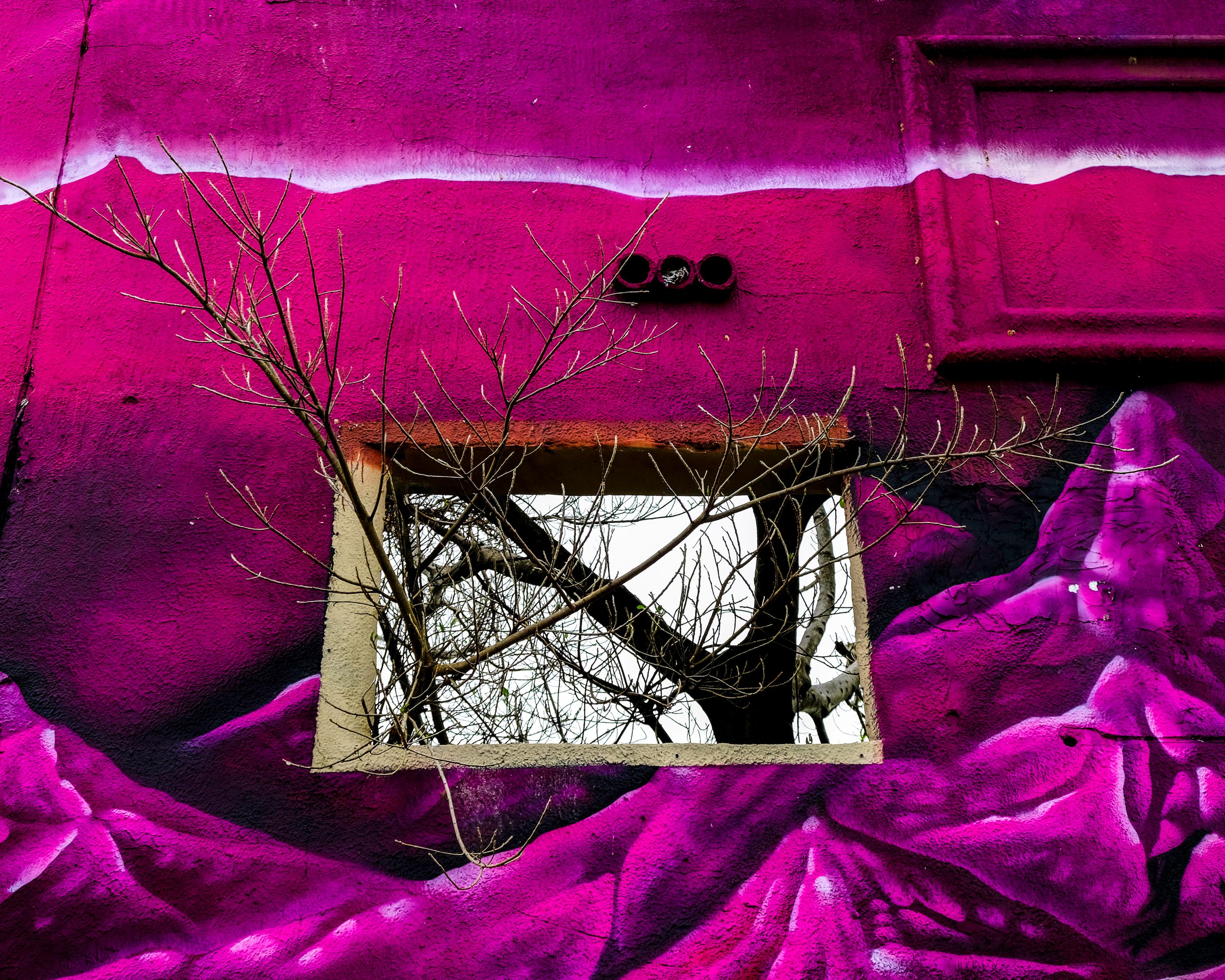 William Eggleston - Debbis Hands, Batiste House, Eves Bayou Portfolio ...