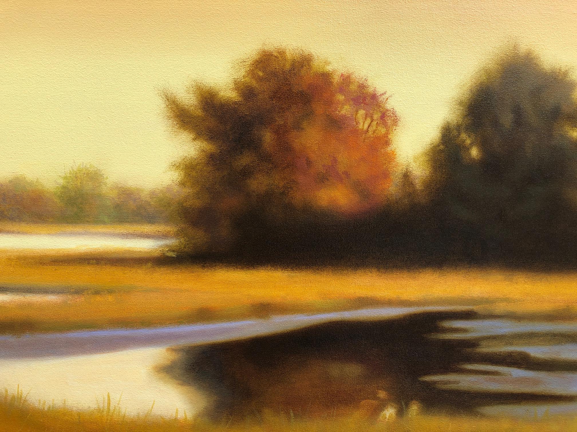 Elizabeth Rickert - Sunset Marsh, Oil Painting For Sale at 1stDibs