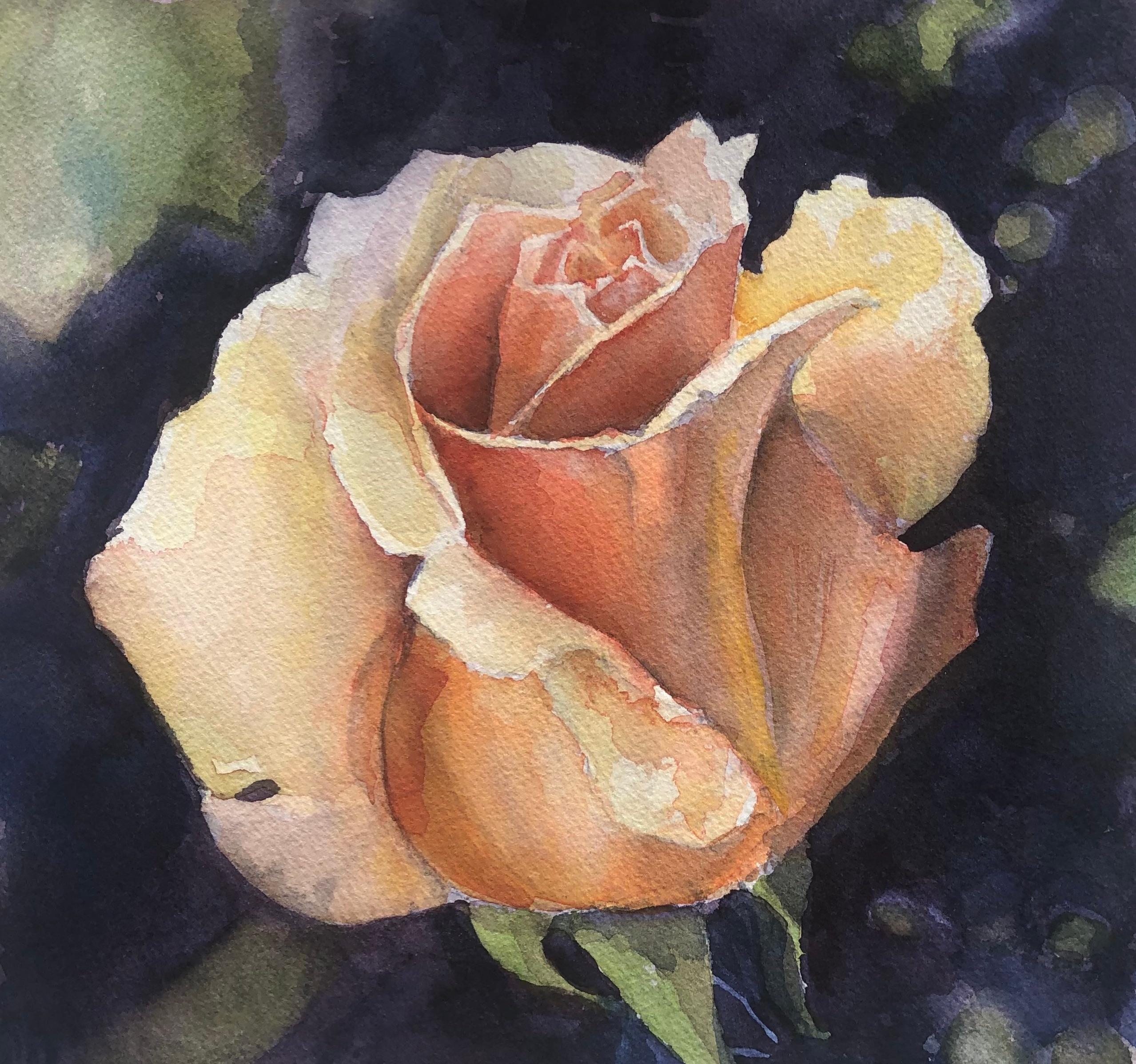 Hilary Gomes - Peach Rose, Original Painting For Sale at 1stDibs
